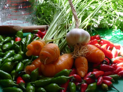 Turnips and Toile: Aunt Judy's Famous Escabeche (Mexican Pickled Peppers)