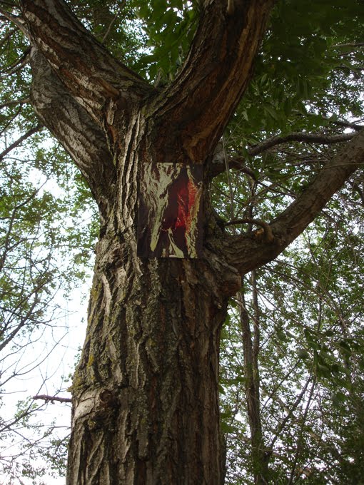 Blog Oficial de Bodo Rau, Artprojects: Arte en la Tierra: 5 Artistas ...