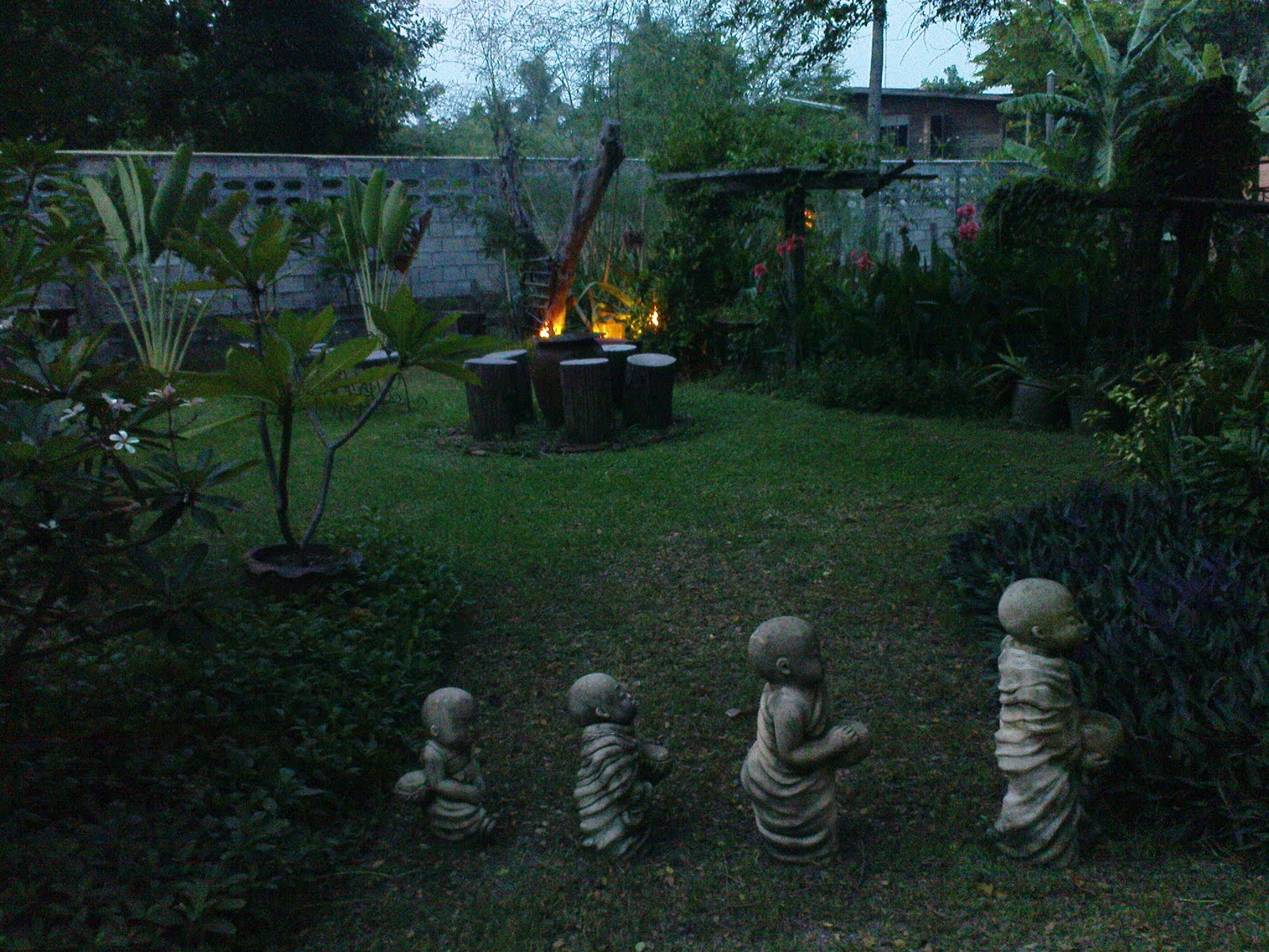 irving blake: ls magazine models