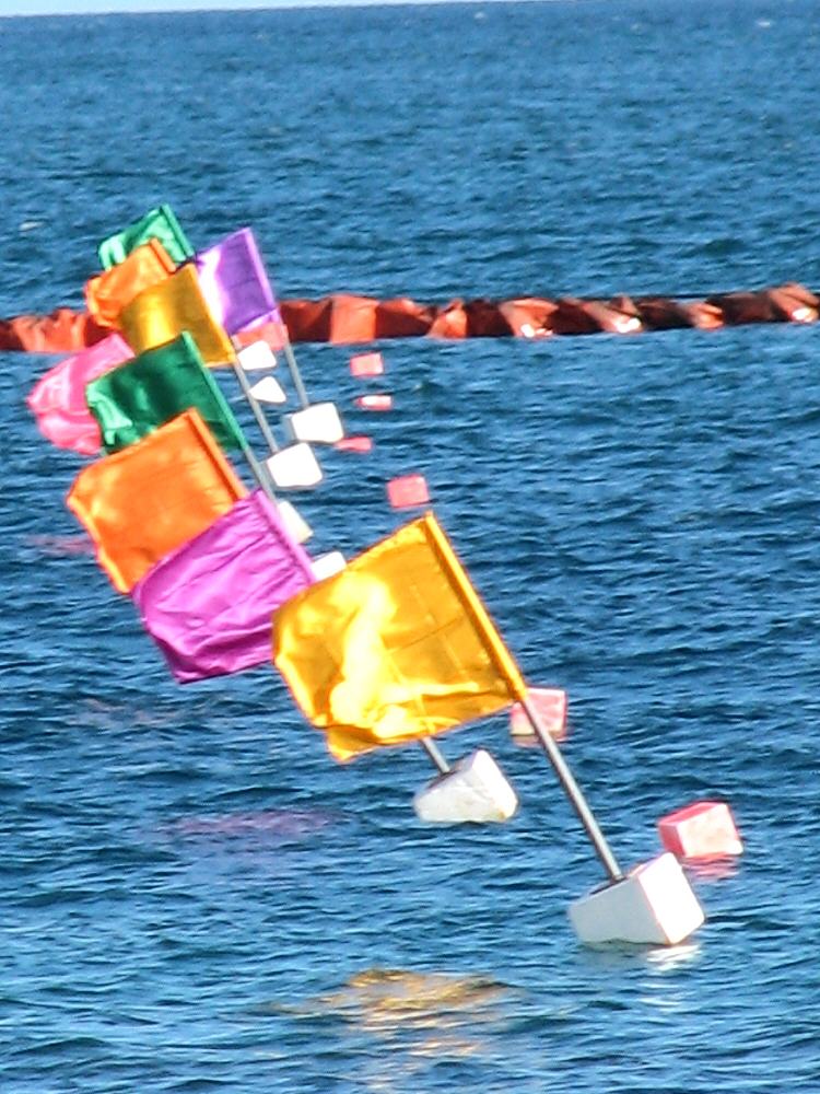 2010 World Outrigger Sprint Championships Noumea, New Caledonia