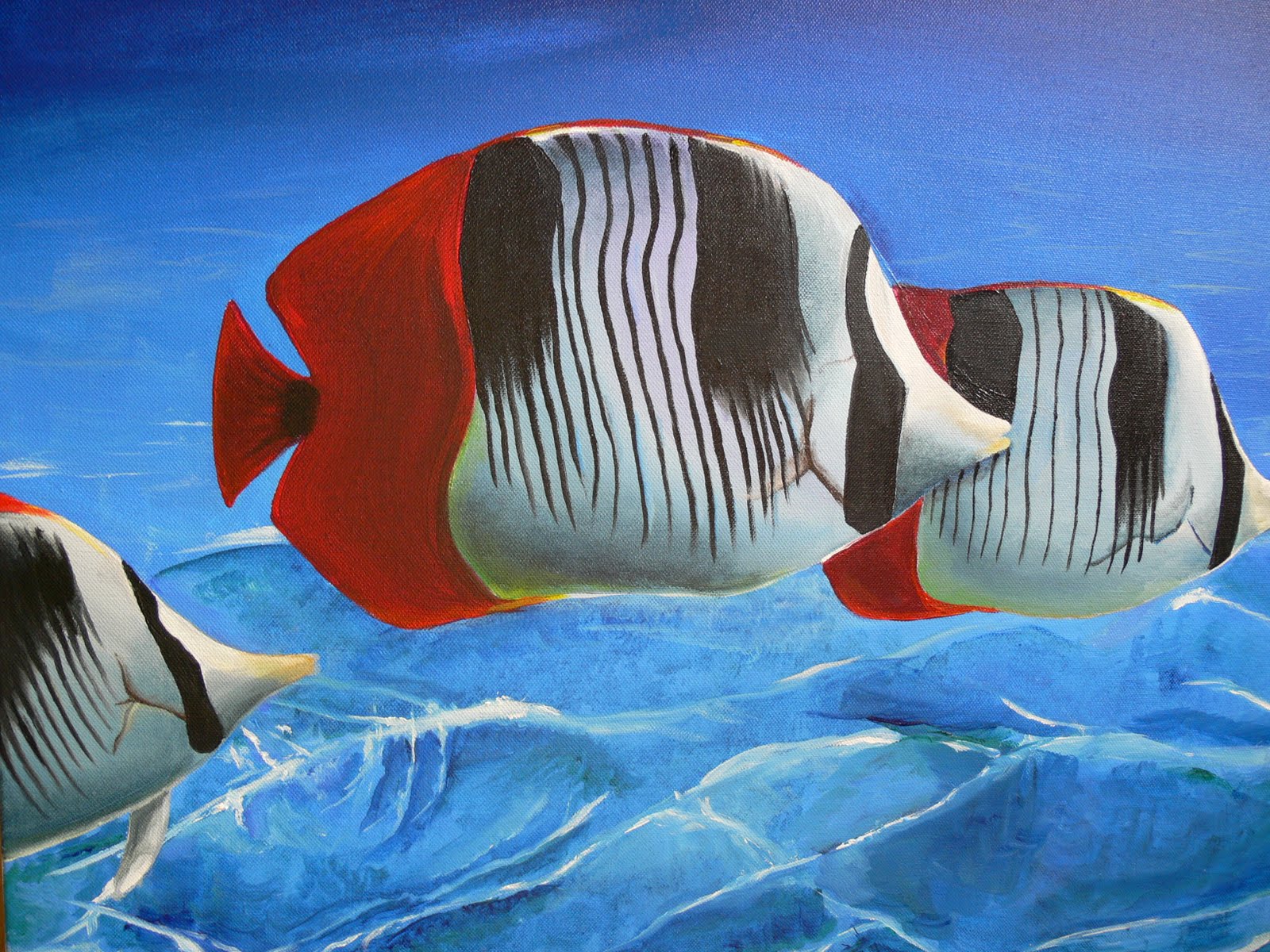 Danielle Hooi: Fish Paintings