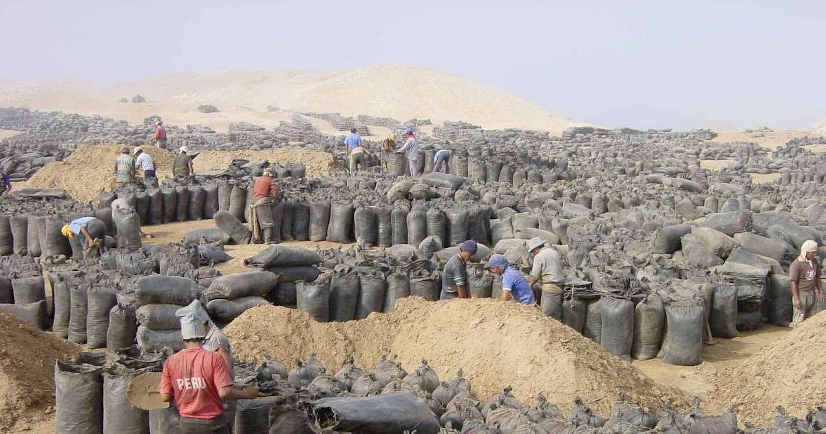 ISLAS DEL CALLAO: Extracción de Guano