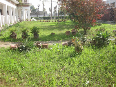 Higher Secondary School Zaida Swabi | Nature, Cultural, and Travel ...