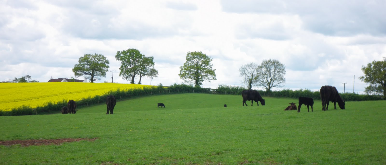 Balls' Nuffield Trip: Worcester - Weddings, Beef & Asparagus