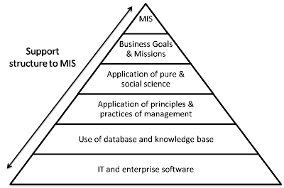 CONCEPTUAL VIEW OF MIS