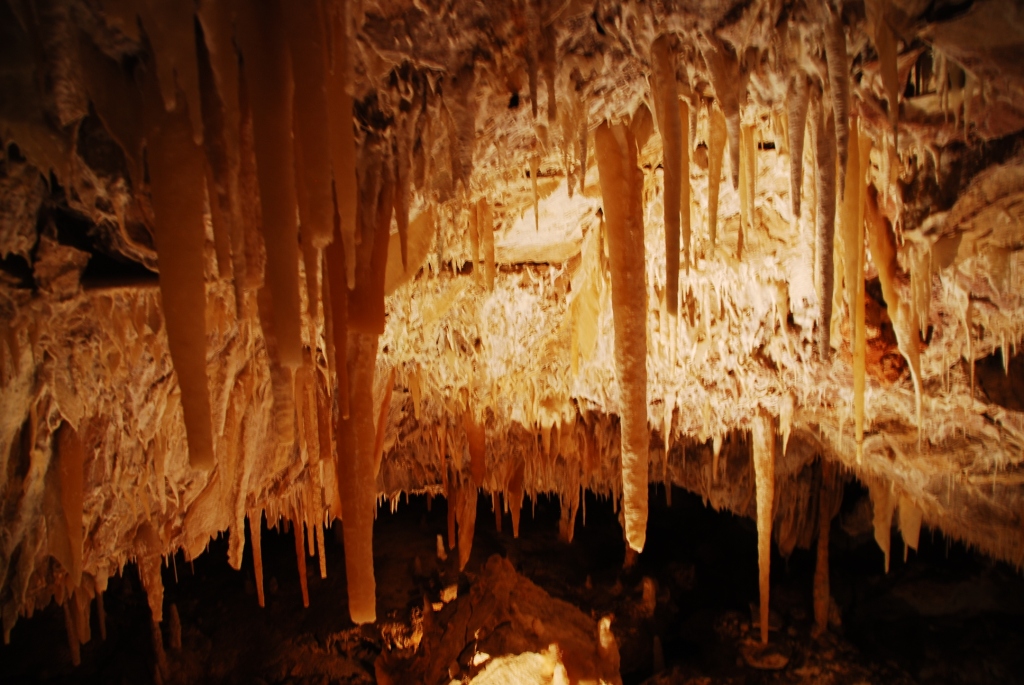 Alena Down Under: Roadtrip Down South: Bunbury, Busselton, Ngilgi Cave