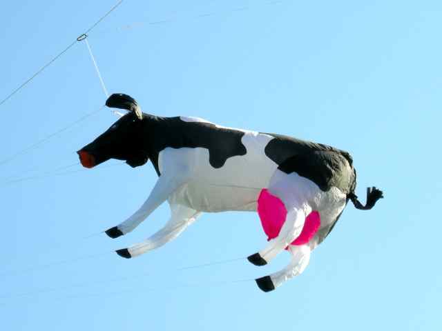JoZart: WOYWW 71 & Flying Cows!