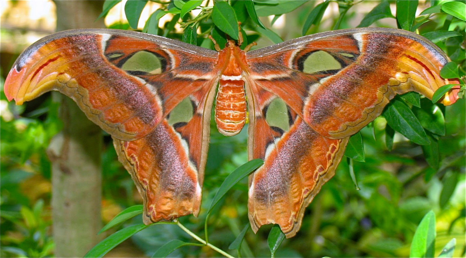 TravelVision: Florida – A great Place to Metamorphosize