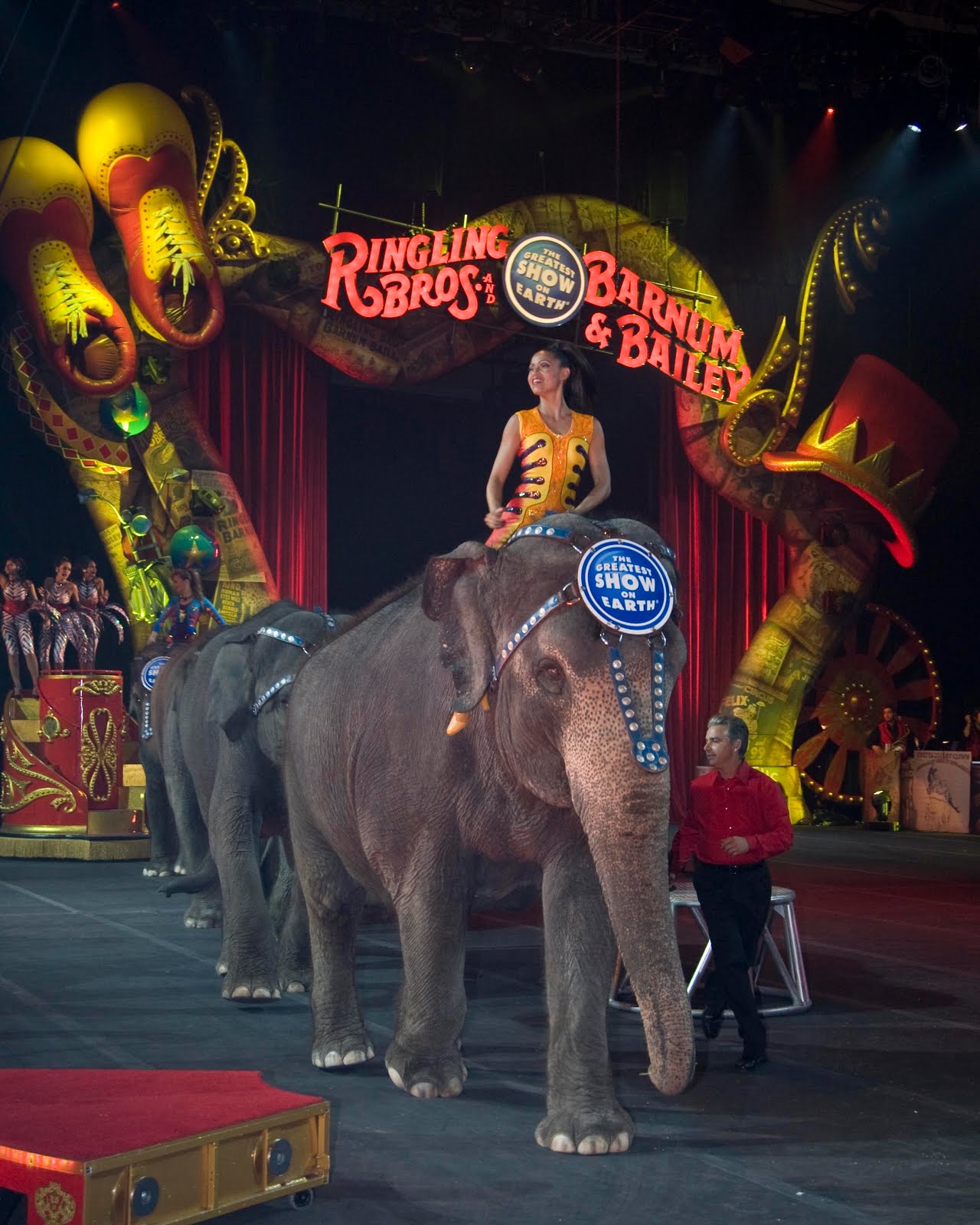 THE BALLOON MAN: RINGLING BLUE UNIT ASIAN ELEPHANTS