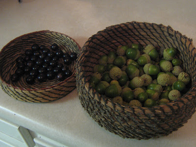 Eating Green: Chestnut Oak (quercus prinus)