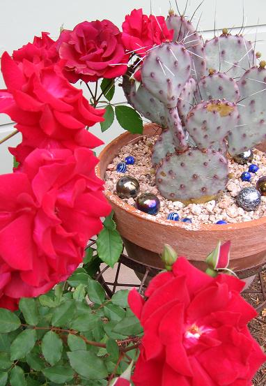 "What a proud flower", thought the trees.