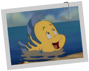 L'univers des Disneys: Polochon