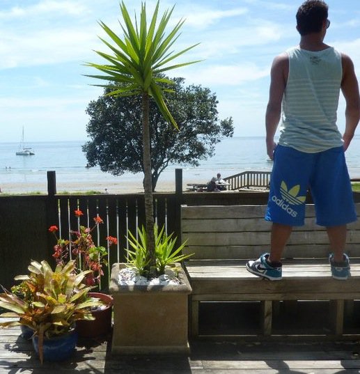 Henshin Grid: Power Ranger Boy: Hector David Jr.