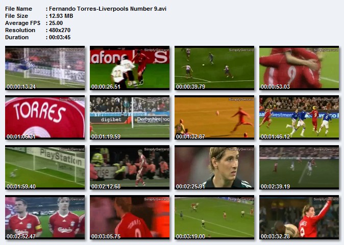Liverpool fc players 2008: Fernando Torres-Liverpools Number 9