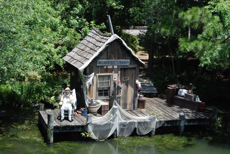 CMPDisney's Photo of the Day: Alligator Swamp shack at the Magic Kingdom