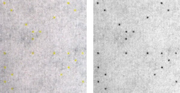 The Print Guide: Speckles in presswork - secret of the yellow dots
