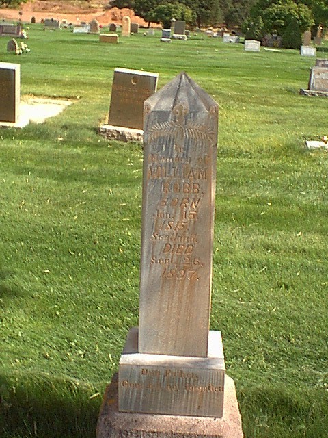 William Robb and Helen Bell: William Robb and Ellen Bell and Susannah ...