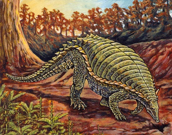 The Forgotten Archosaurs: Typothorax