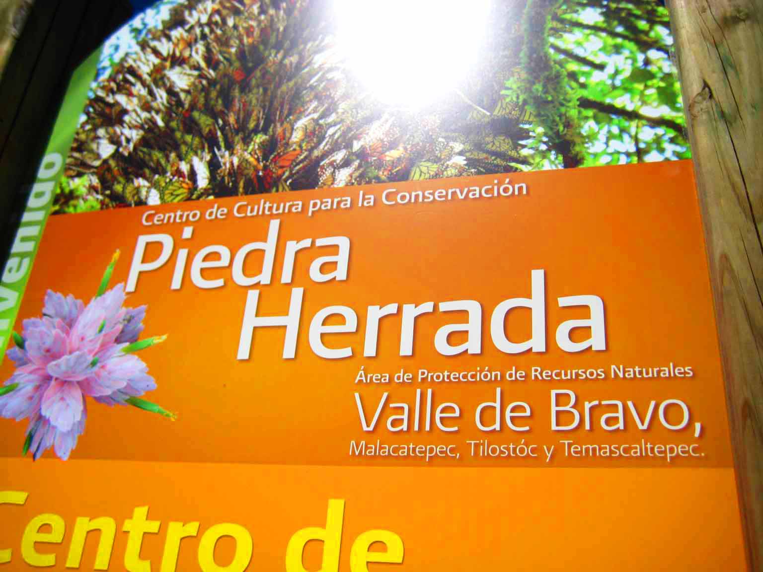 Eric & Autumn's World Roll Up: Piedra Herrada: Monarch Butterflies
