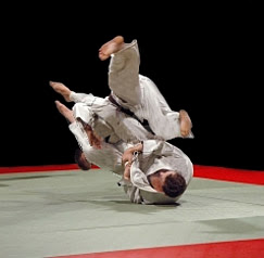 Jiu-Jitsu, suave arte de quebrar ossos: Historia do Jiu - Jitsu