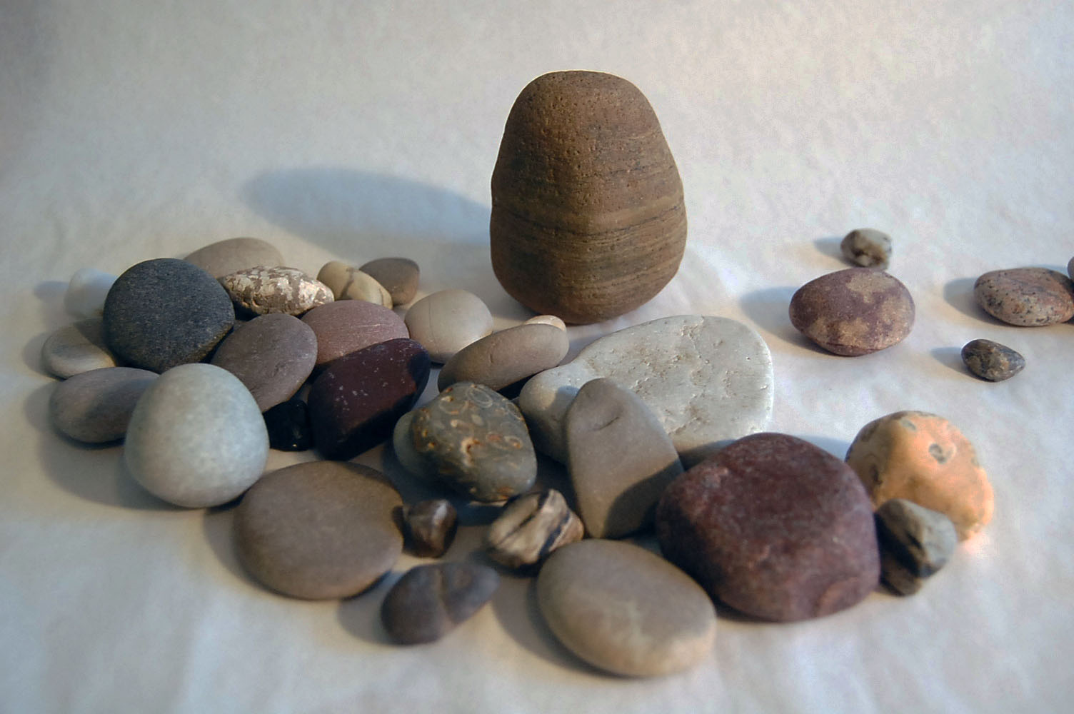 sara caron: special rocks