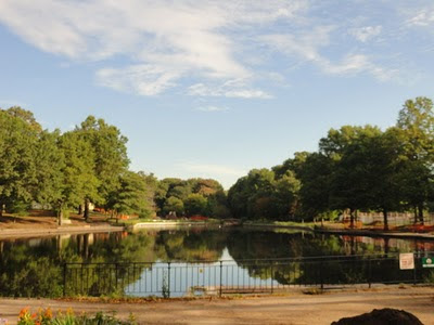 West Hempstead Now and Then: A Rare Old Sketch of Halls Pond and the ...
