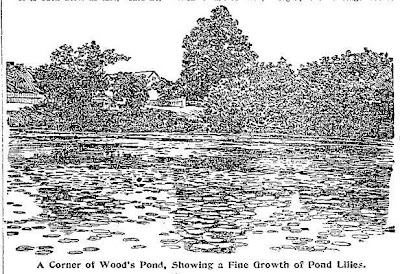 West Hempstead Now and Then: A Rare Old Sketch of Halls Pond and the ...
