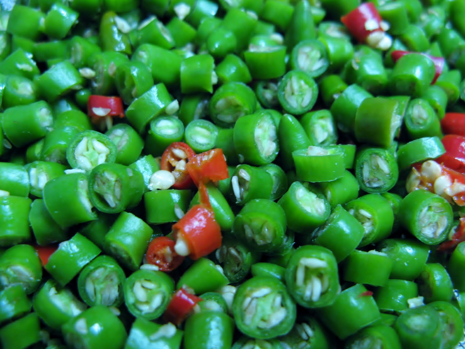 UMI & TSURU: Chilli Padi