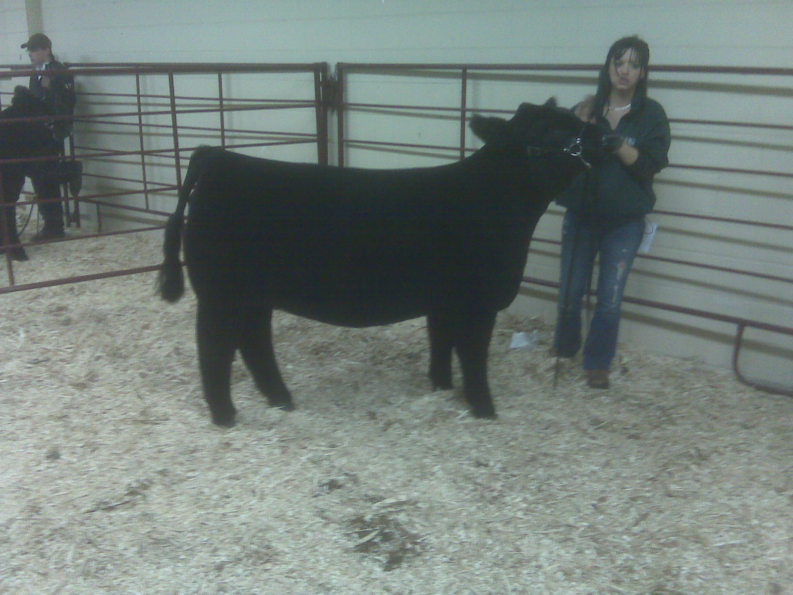 Fw: Monopoly Maintainer - Matt Lautner Cattle