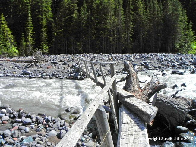 The Camping Queen: Mt Rainier National Park, Washington
