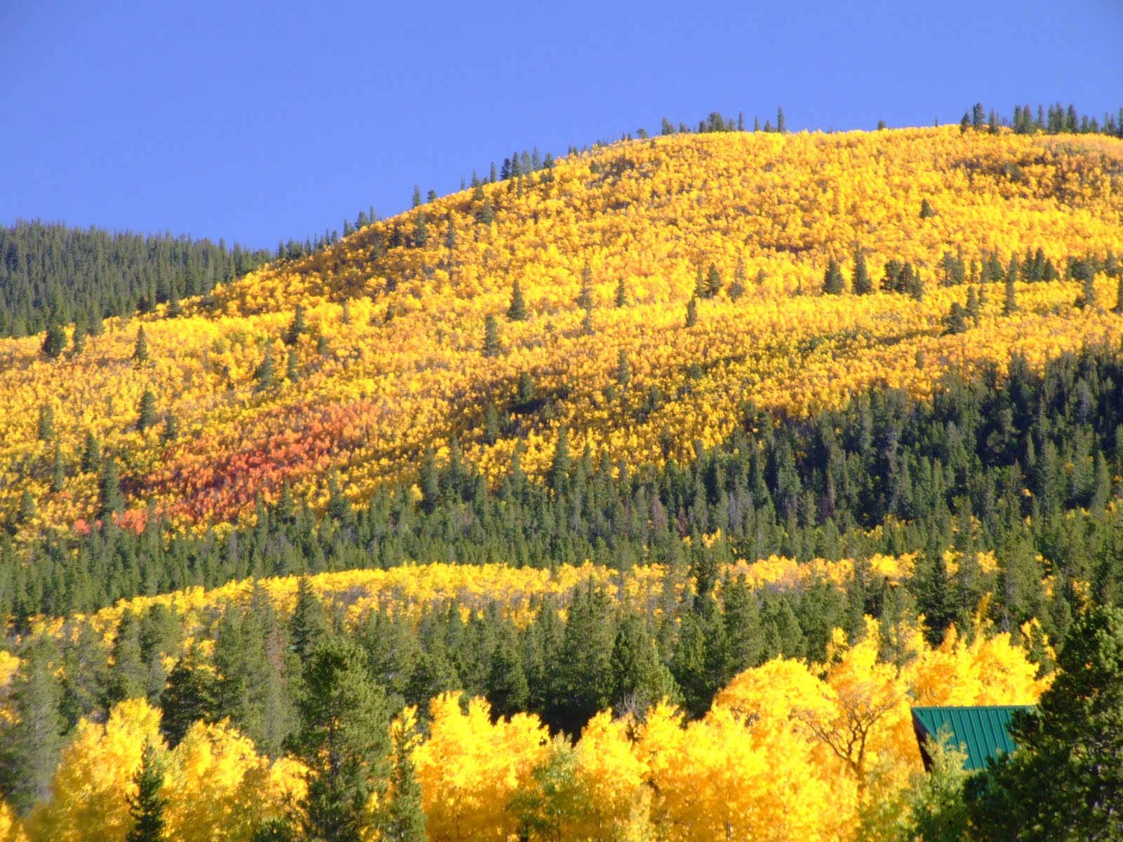 ResortQuest Breckenridge Blog: Fall in Colorado: Guide to Fall Colors ...