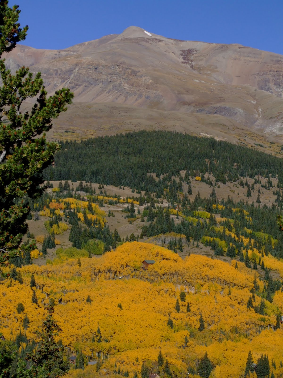 ResortQuest Breckenridge Blog: Fall in Colorado: Guide to Fall Colors ...