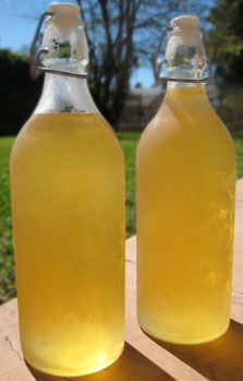 La Tavola Marche: Homemade Limoncello - A Refreshing Buzz