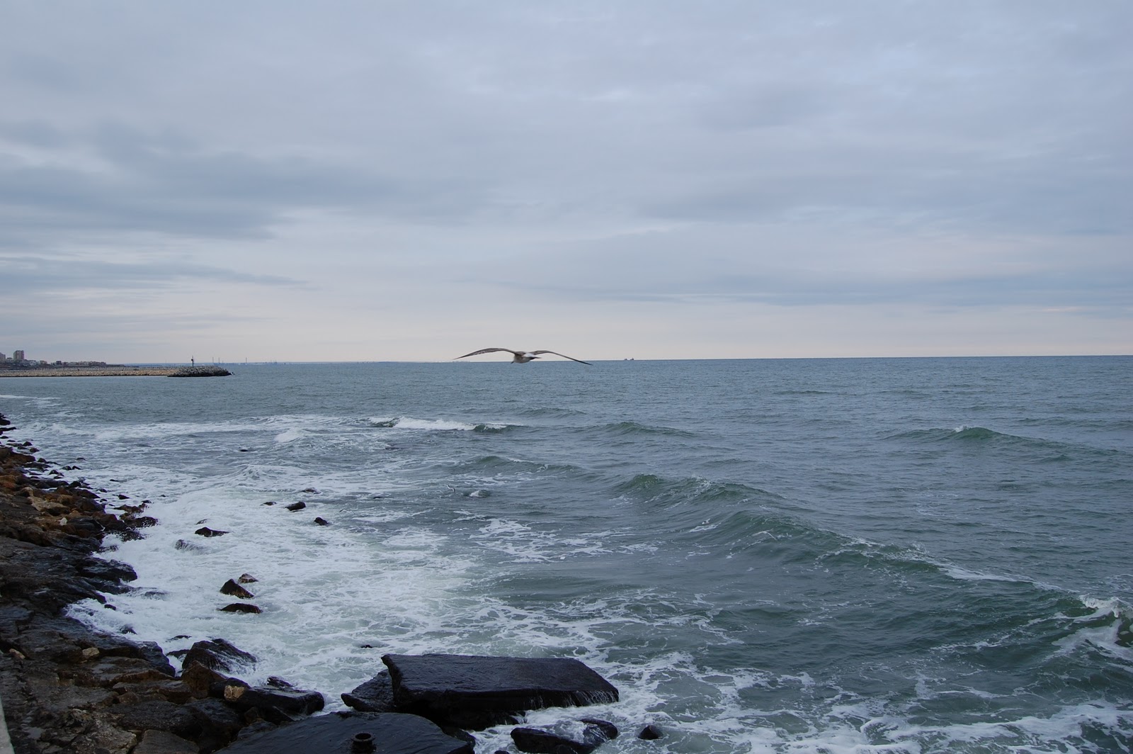 Fotografii din vacanta: Fotografii din Constanta