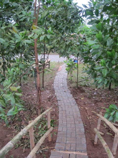 Satu Benih Tujuh Bulir Seratus Biji: Pembuatan Selasar