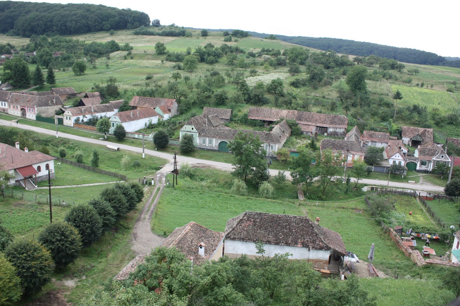 Eastern European Landscapes, Biodiversity and Societies: The experience ...