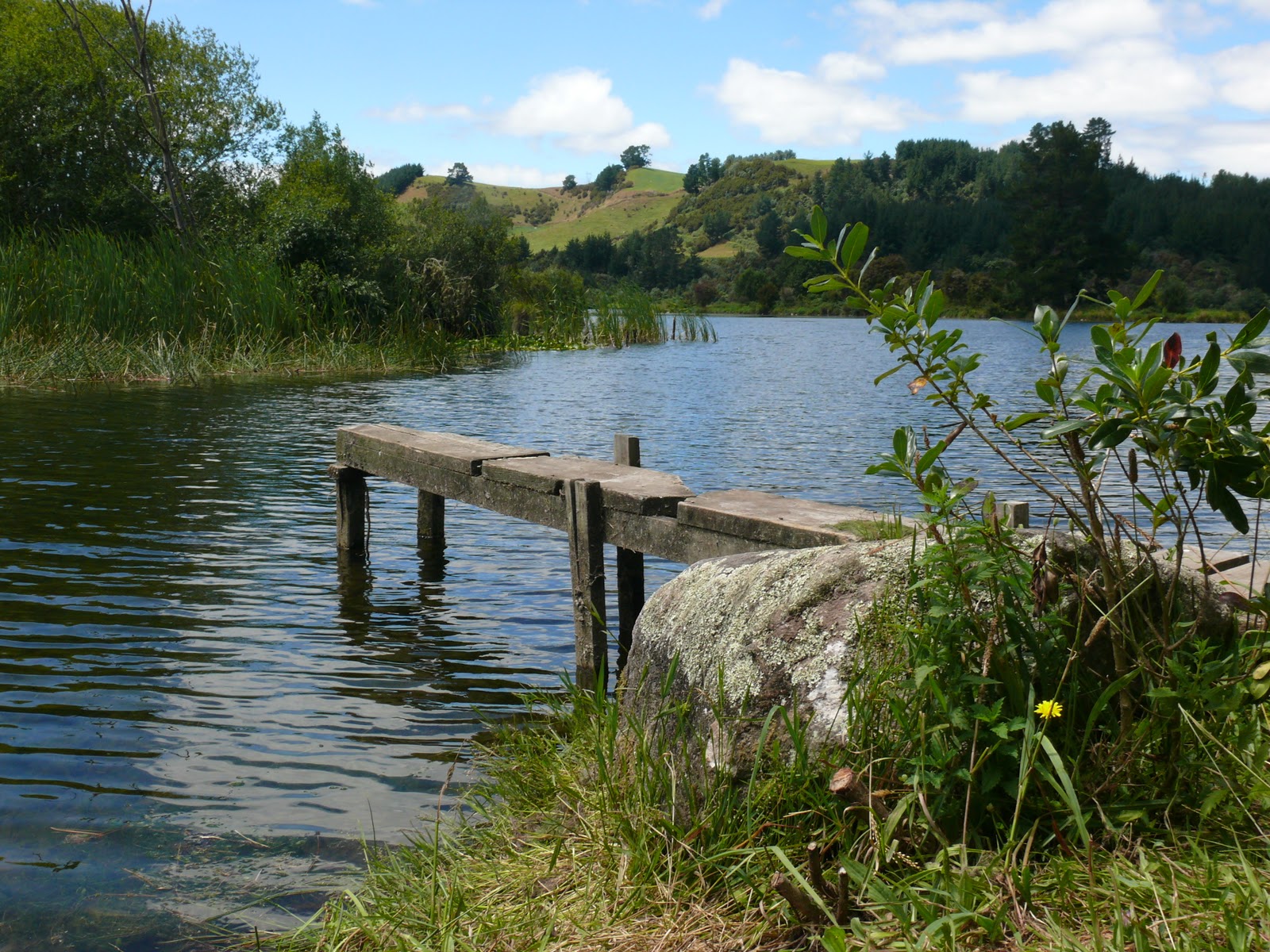 an extension to Grrr's mind...: Waikato River Trails: Whakamaru ...
