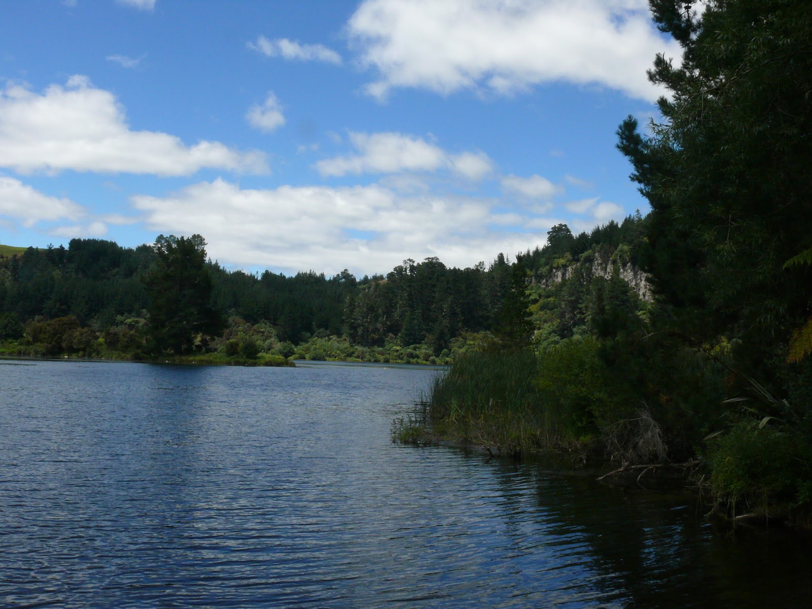 an extension to Grrr's mind...: Waikato River Trails: Whakamaru ...