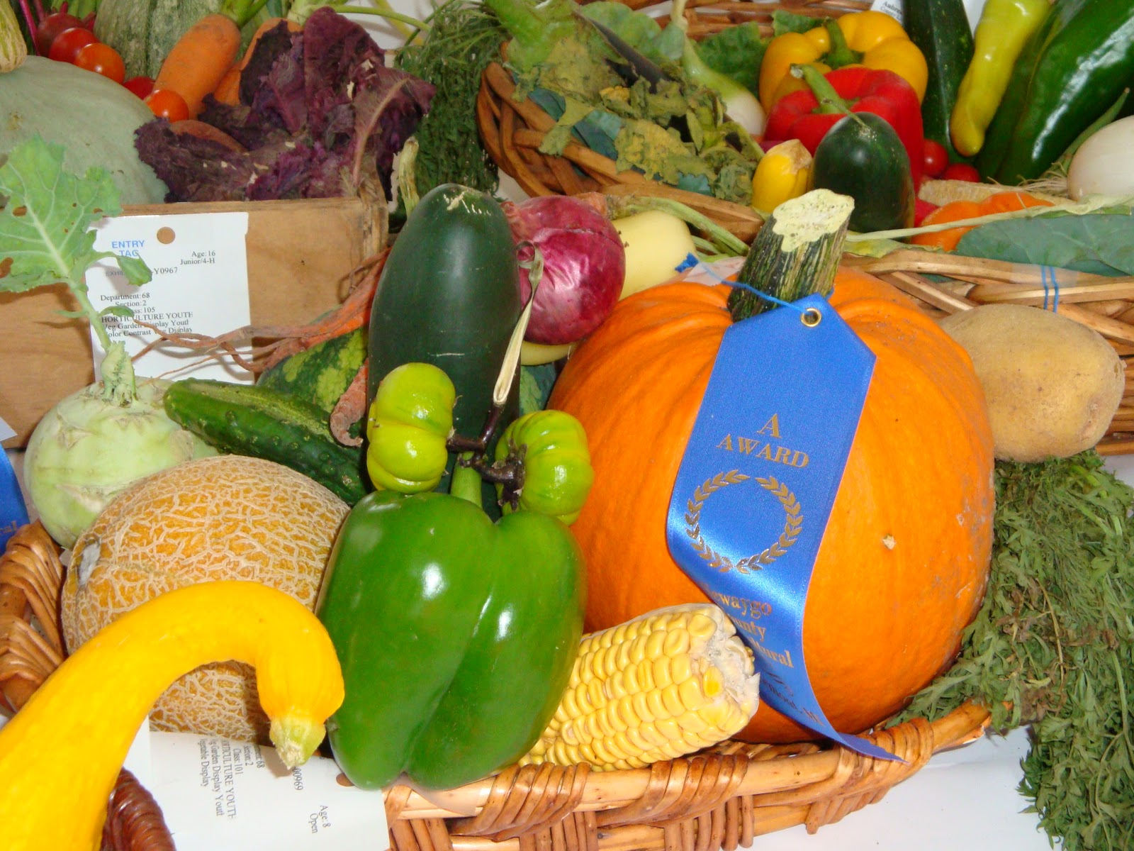 The Garden for Eatin'--for Practical Vegetable Gardening: County Fair Time