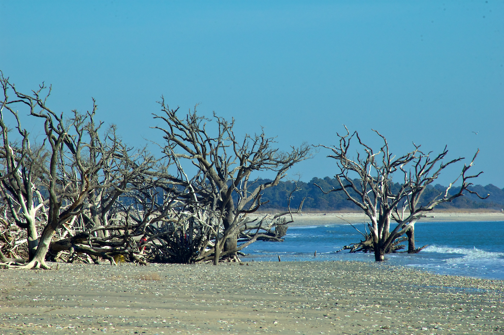 Random things from life as I see it.: Botany Bay Plantation, SC