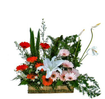 Gaya Terbaru 20+ Cara Merangkai Bunga Segar