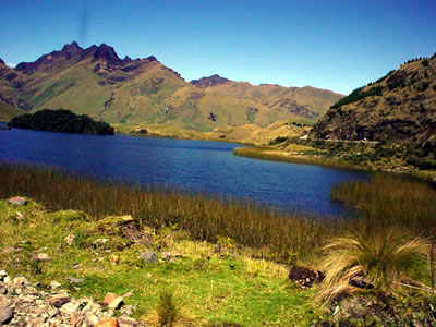 la naturaleza en el Ecuador: LA NATURALEZA ECUATORIANA
