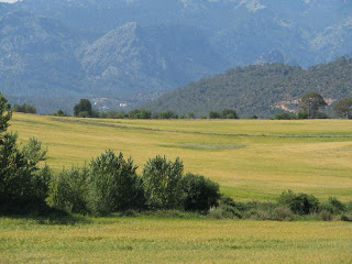 Mallorca es así también: SON SUREDA - MARRATXI