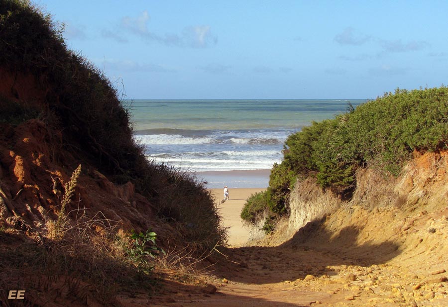 Mallorca es así también: LA PLAYA DE ROCHE