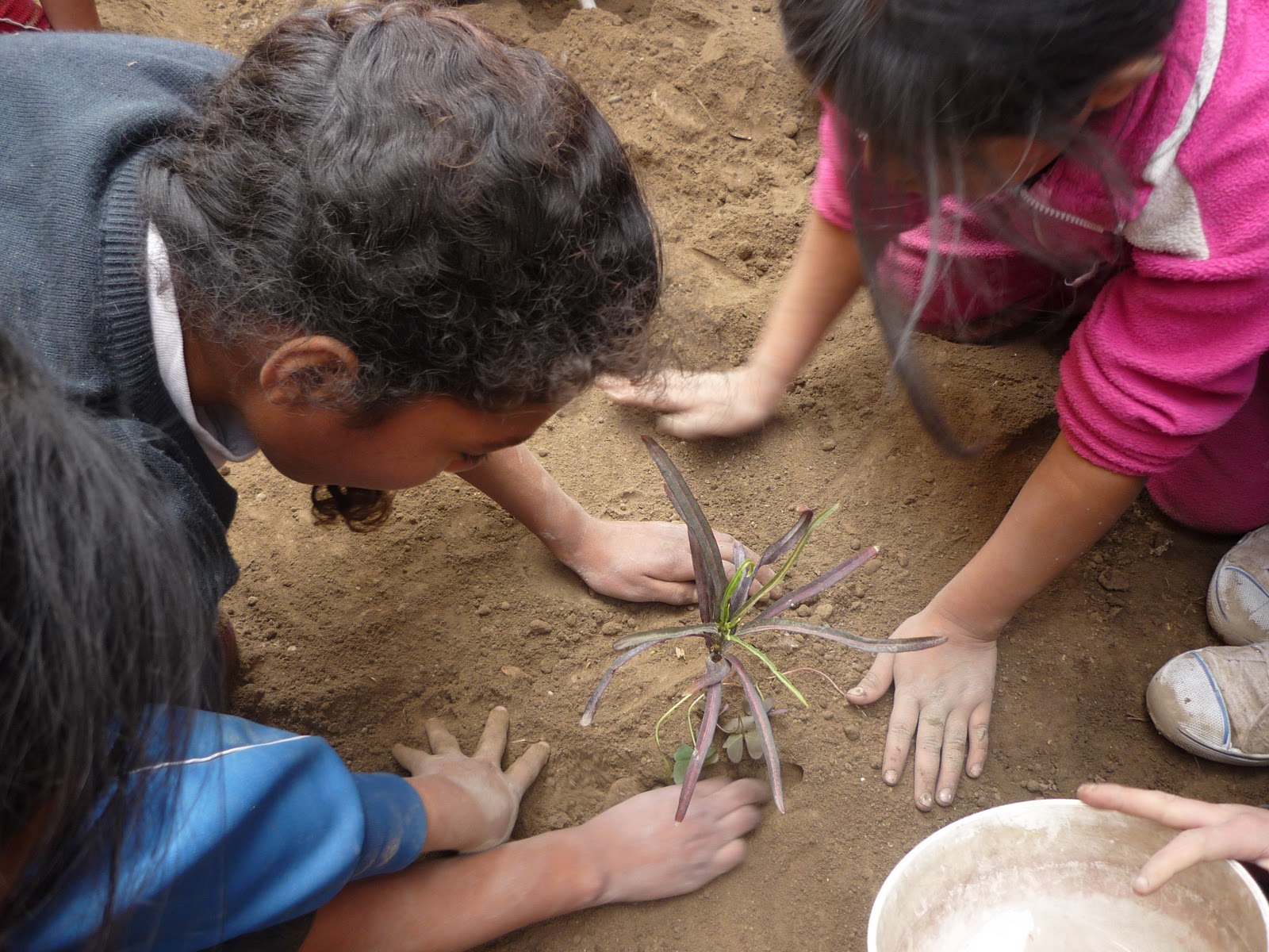 COMUNICÁNDONOS PARA APRENDER MÁS DE LA CIENCIA: BIOHUERTO ESCOLAR MOHMESINO