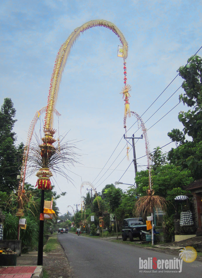 Penjor Galungan ~ All About Bali and Indonesia