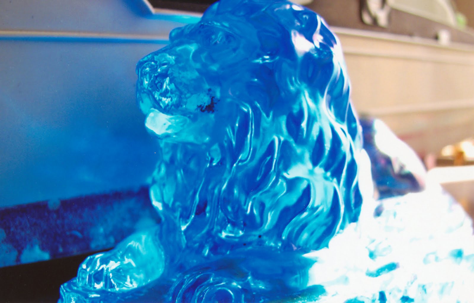 Leos, Lions & King of the Beasts