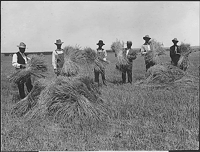 Science teacher: Separating the wheat from the chaff