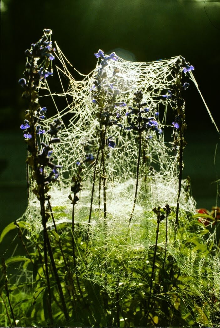 Victor Nyman: Selma Udriot Johansson- Previous work- Building/Volume