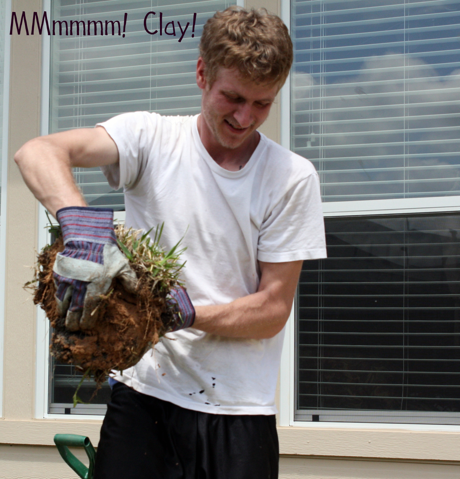 I Choose Joy!: Backyard Crashers!